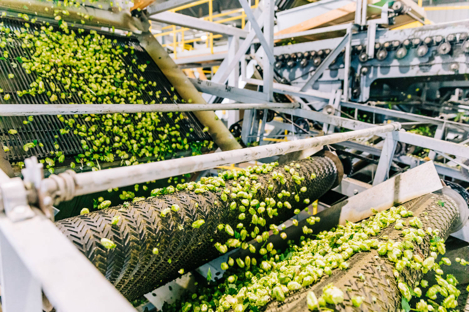 Obendorf Family - Parma, Idaho - Yakima Chief Ranches