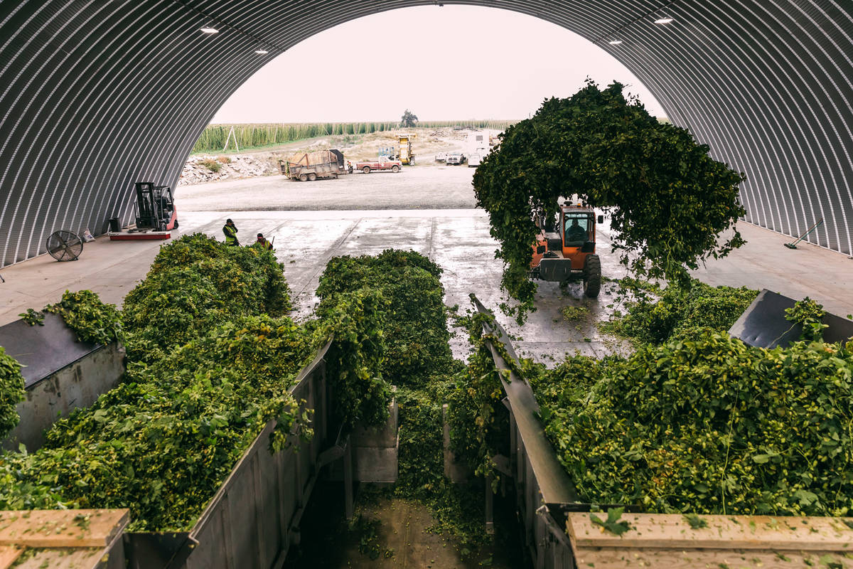 Carpenter Ranches - Yakima Chief Ranches