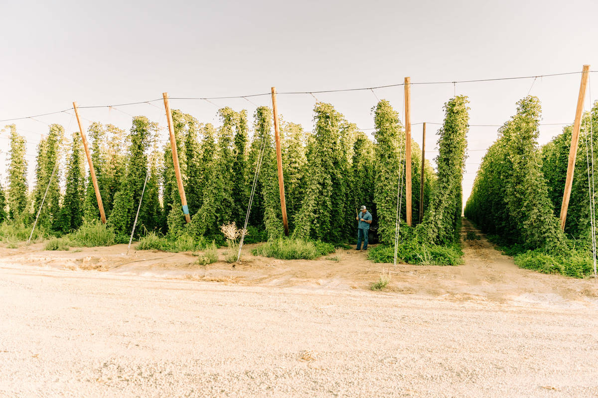 Perrault Farms - Yakima Chief Ranches