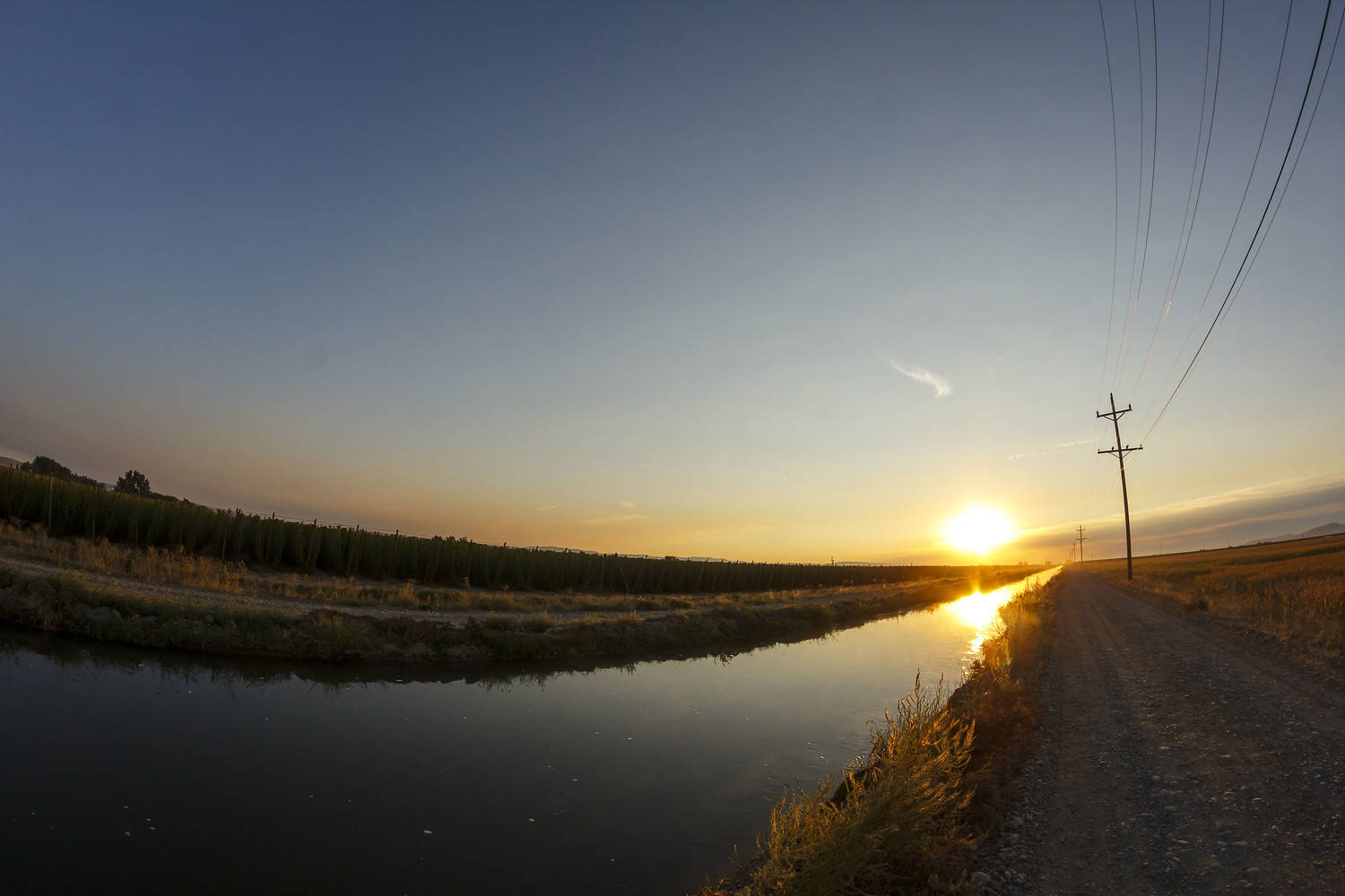 Hops on the Horizon - Yakima Chief Ranches