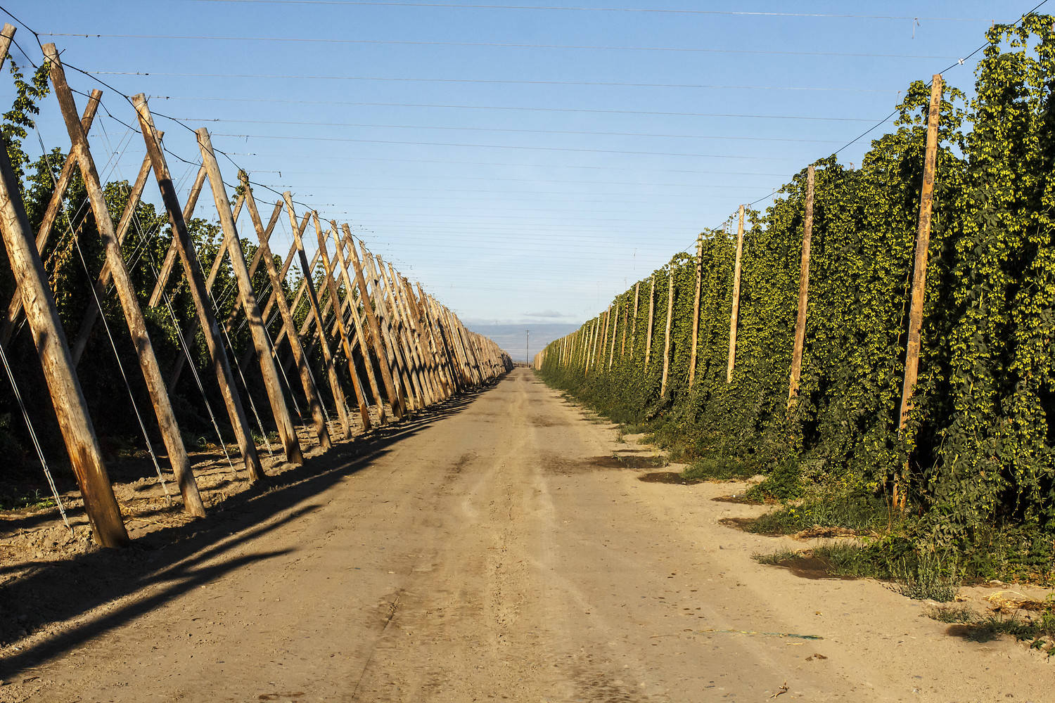 Footprints 2016 Recap - Yakima Chief Ranches