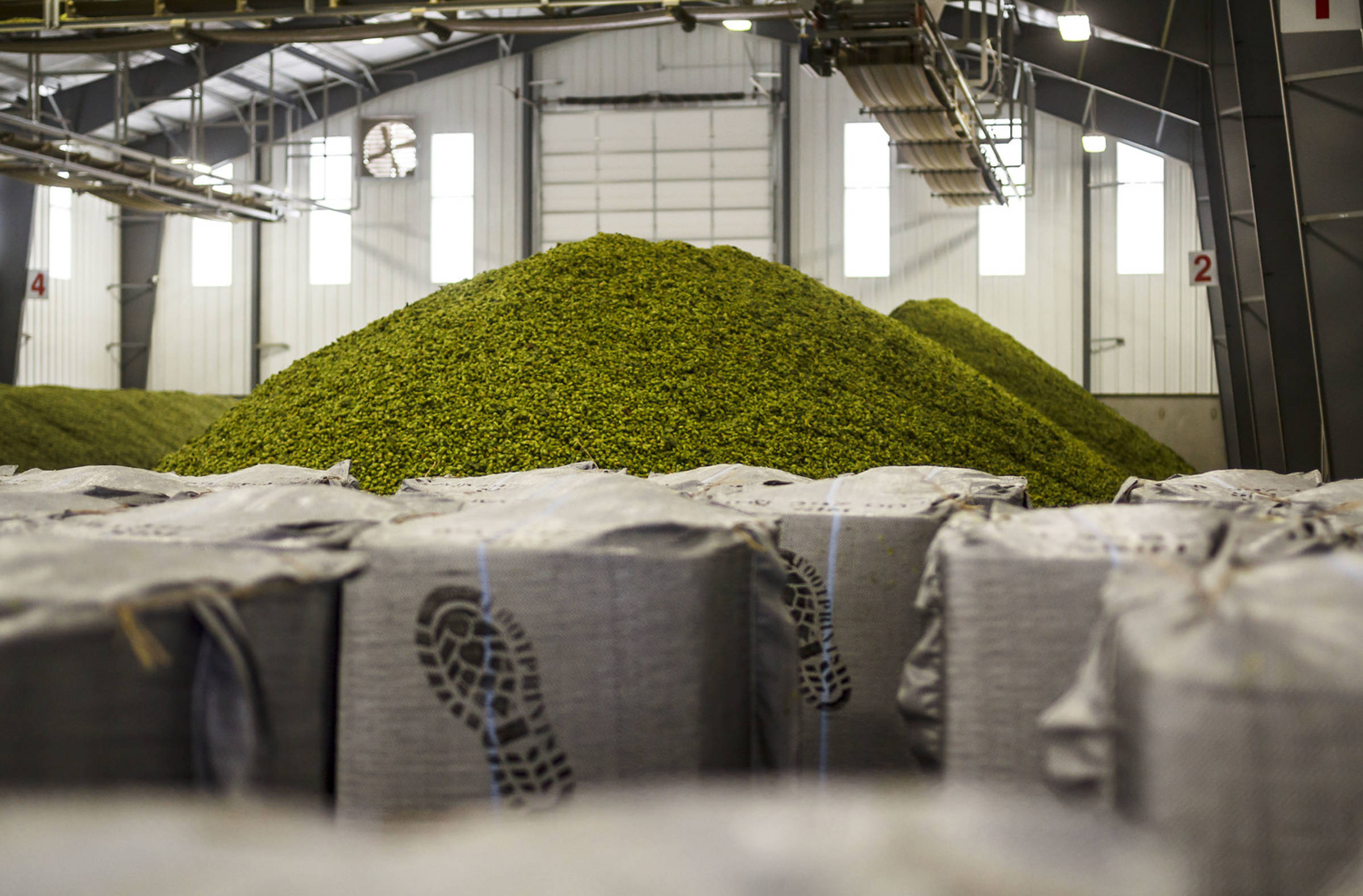 Connecting Farmers to Brewers - Yakima Chief Ranches