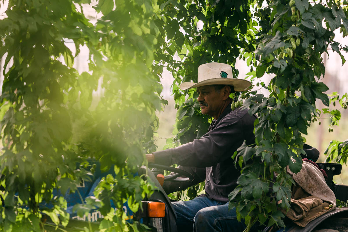 Carpenter Ranches - Yakima Chief Ranches